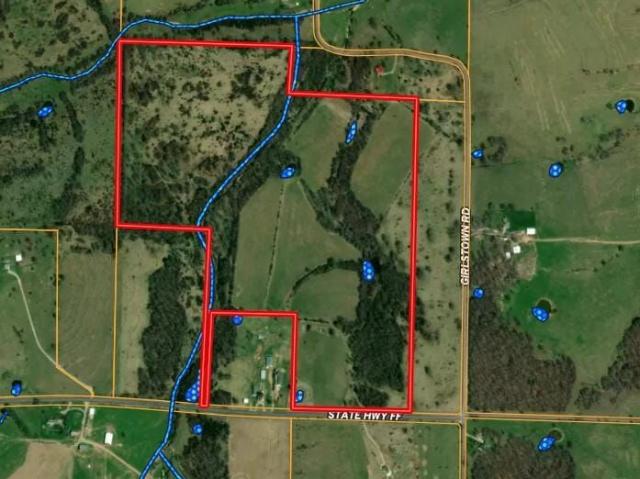 9551 C Highway Ff, Mountain Grove, USA, MO