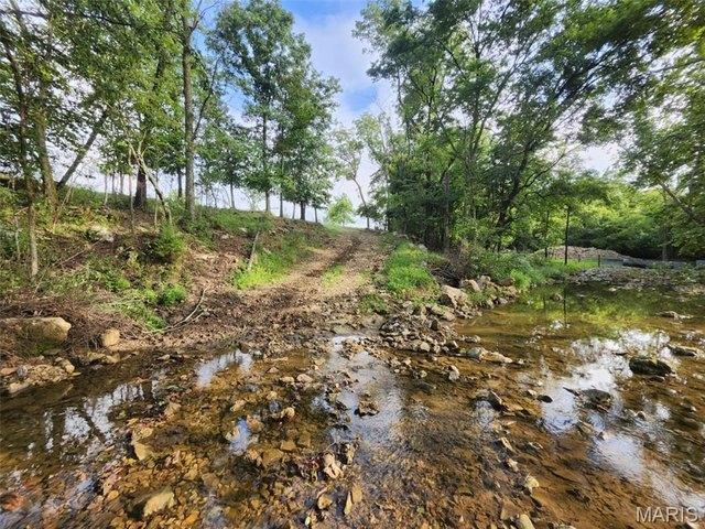 9551 Highway FF, Mountain Grove, MO 65711