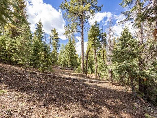 955 E Bonanza Rd, Duck Creek Village, UT 84762