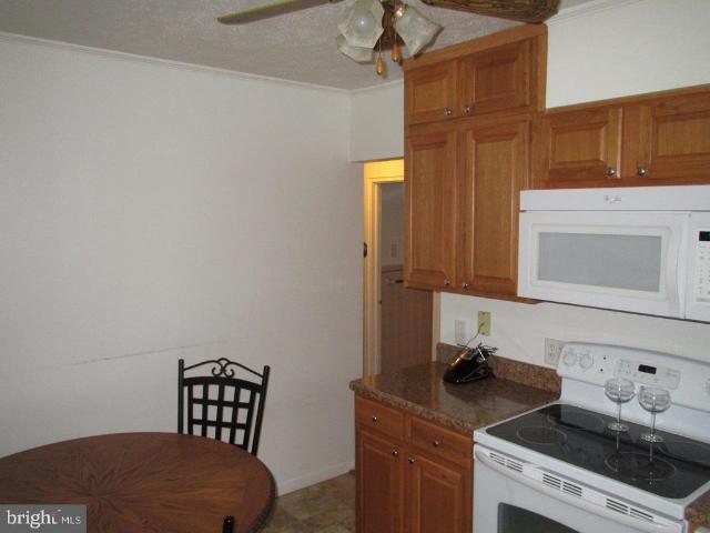 955 Terrace Lane