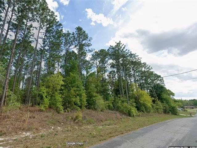 9562 N Travis Dr, Citrus Springs, FL 34434