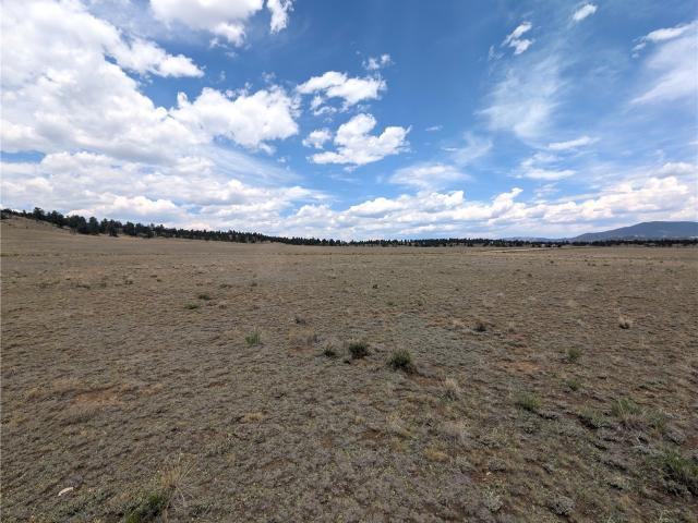 956 Apache Trail, Hartsel, CO 80449 | MLS #S1061