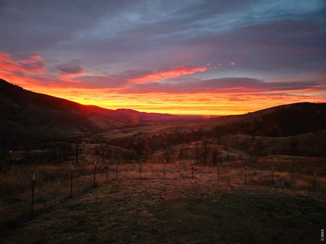 957 Stringtown Gulch Rd, Bellvue, CO 80512 | MLS #1054