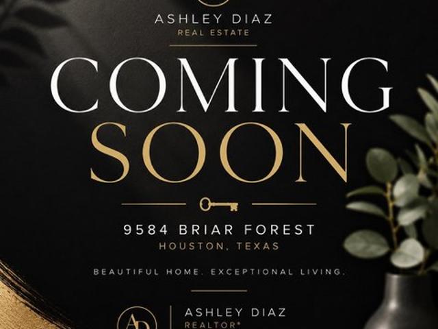 9584 Briar Forest Dr, Houston, TX 77063
