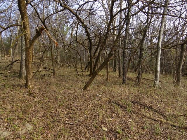958 Dollar Hollow Rd, Pulaski, TN 38478 | MLS #2697