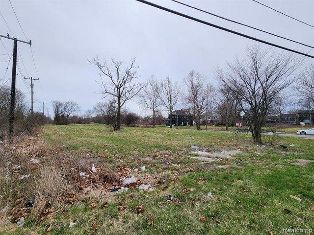 958 Kitchener St, Detroit, MI 48215