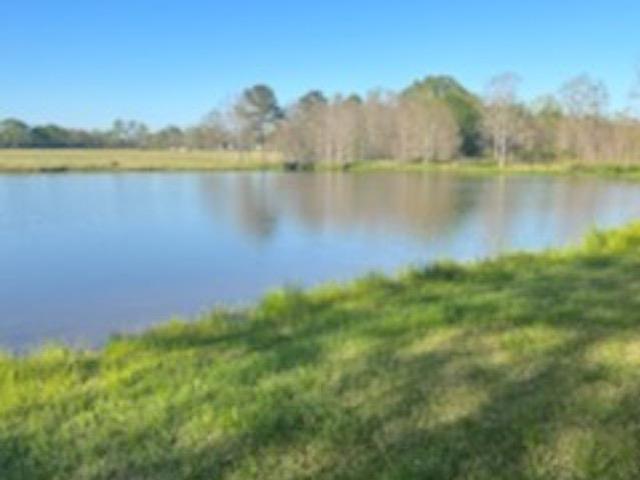 958 Slaughter, LA 70777 | MLS #BR2026000