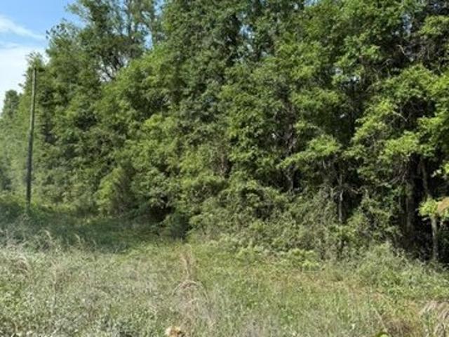 959 SW No Name Rd, Lake City, FL 32024