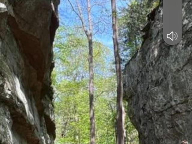95.43 acre Sheep Bluff Rd