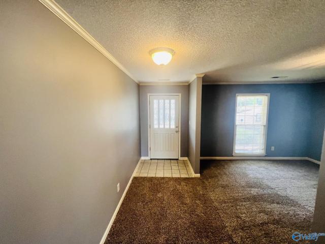 95 Timber Ridge