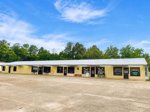 95 W Main St, Gilbertown, AL 36908