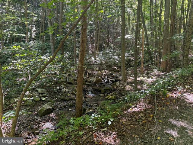 95+/ ACRES Laurel Mountain Rd