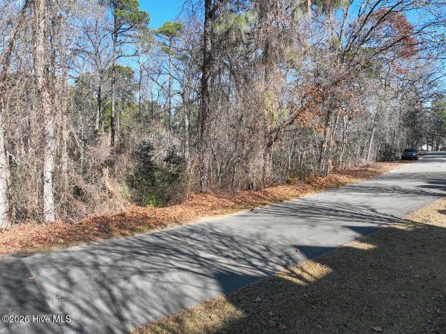 95 Bridle Path Cir, Pinehurst, NC 28374 | MLS #100558