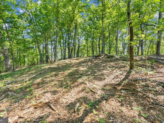 95 Chimney Oaks Trl, Cleveland, GA 30528