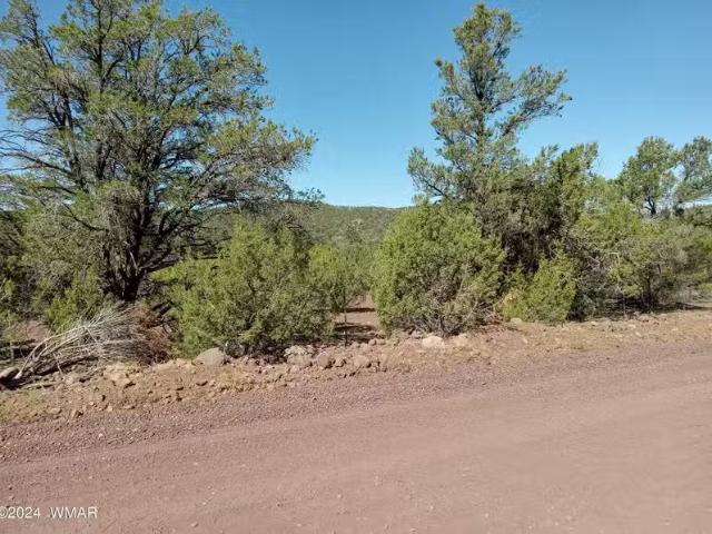 95 Co Rd 3199, Vernon, AZ 85940 MLS 252884