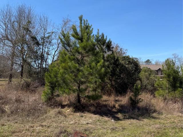 95 County Road 5004, Cleveland, TX 77327 | MLS #43553