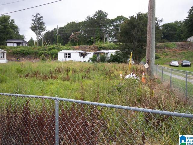95 Clear Springs Way # Lot 29