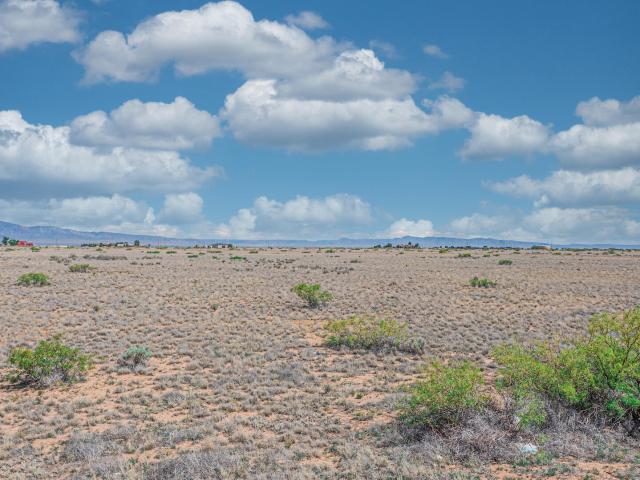95 Mesa Alta