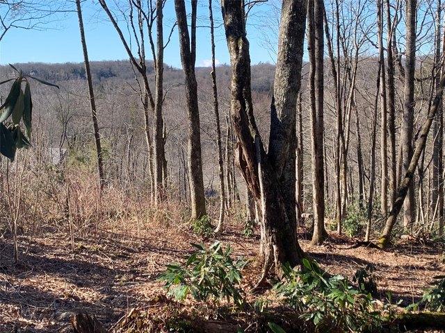 95 Oak Pt Lot 95, Highlands, NC 28741