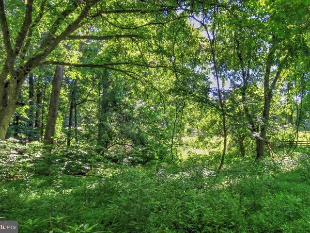 95 River Birch Drive