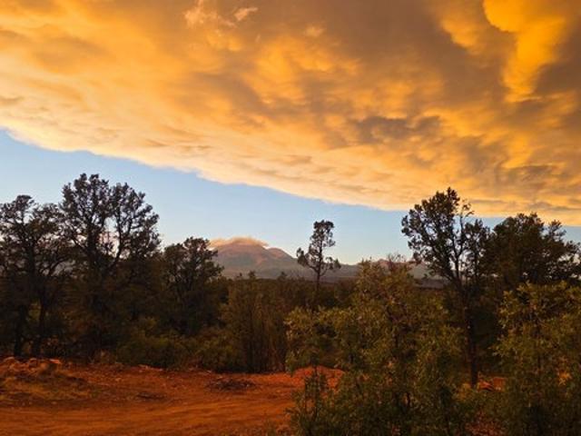 95 S Wray Mesa Rd Unit 10, La Sal, UT 84530