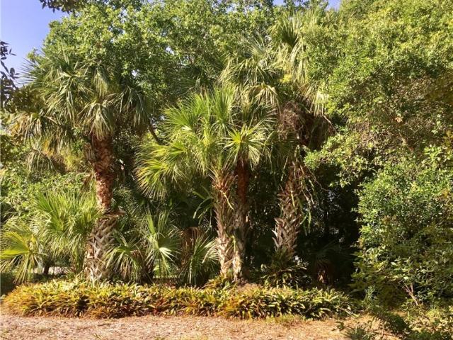9605 Riverview Dr, Micco, FL 32976 | MLS #287427