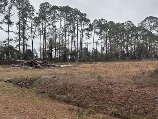 9600 Light Ave, Hastings, FL 32145