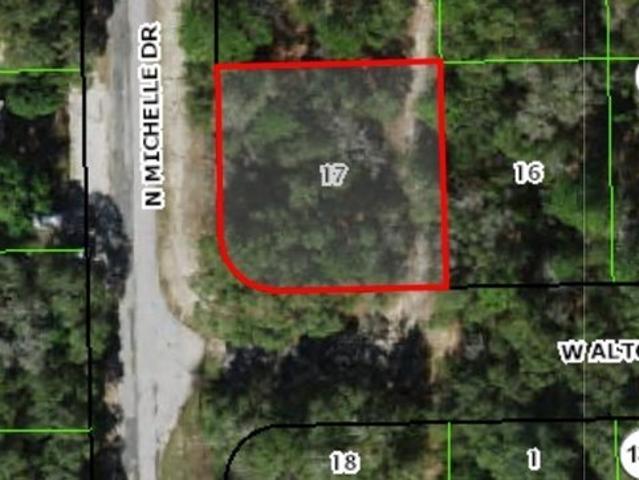 9601 N Mitchelle Dr, Citrus Springs, FL 34434
