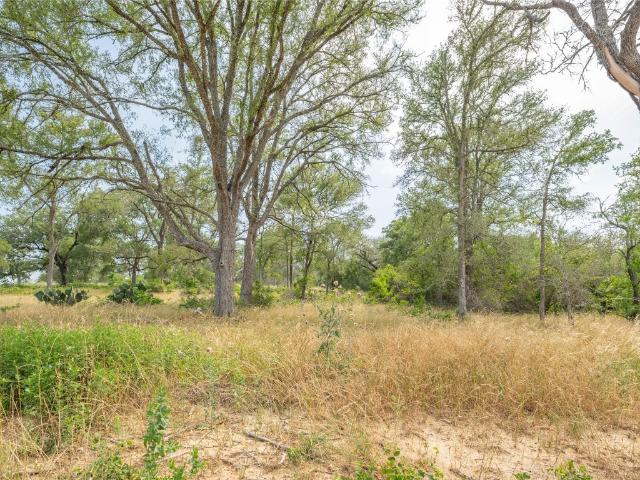 960 Ferguson Loop Dale, TX 78616 | MLS #5381