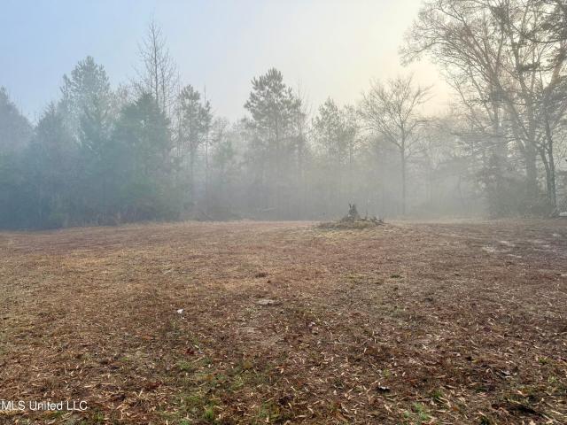 960 Old 51 Road