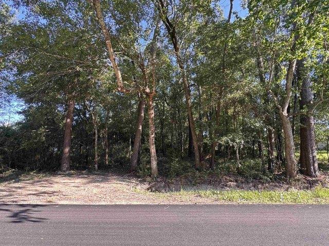 960 Lyndale St, Vidor, TX 77662