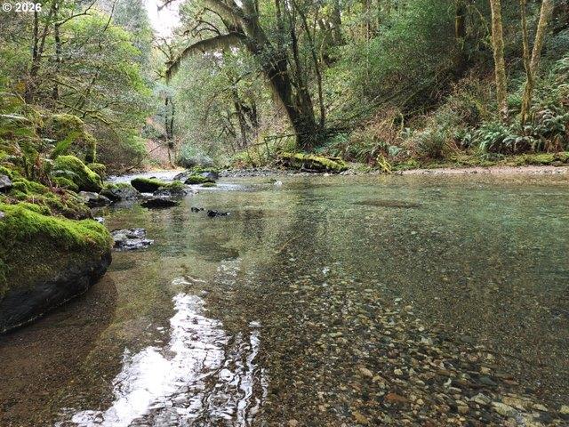 96149 McGribble Rd, Port Orford, OR 97465