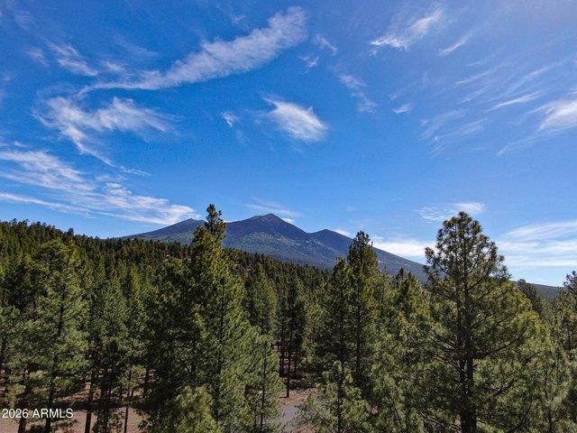 9615 Ranch at the Peaks Way Unit 59, Flagstaff, AZ 86001