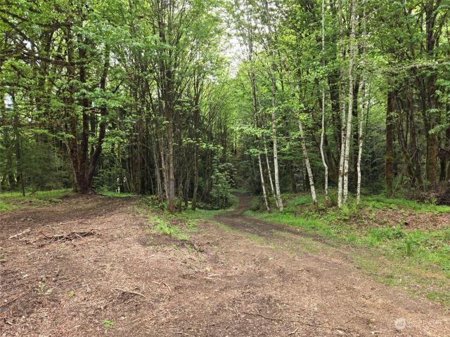 961 E Rasor Rd, Belfair, WA 98528 | MLS #2243