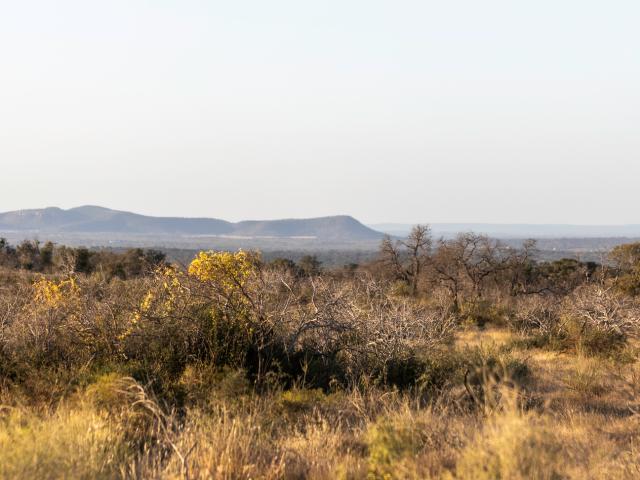 962 W, Round Mountain, TX 78663 | MLS #1814