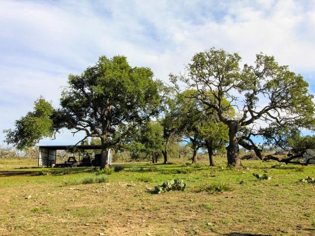 963 Josephine Rd, Harper, TX 78631 | MLS #121379