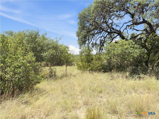 963 Summit Ridge Trail