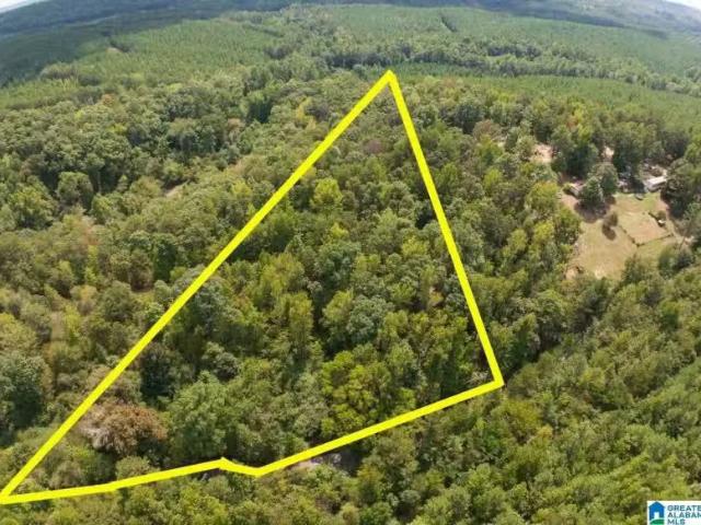 9646 WELLER SUMPTER RD # 0, ADGER, AL 35006 Vacant Land For Sa.