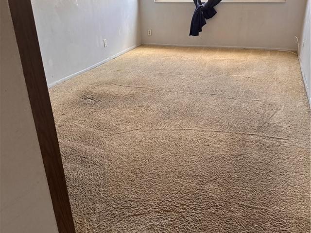 9642 Peppertree