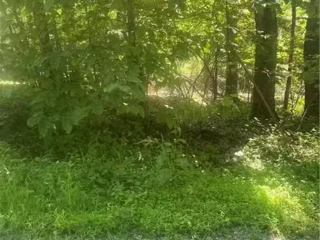 964 MATTERHORN ROAD, JENNERSTOWN, PA 15547 Farm For Sale MLS#.