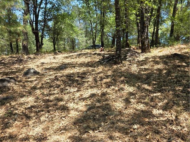 9655 Mountain Meadow