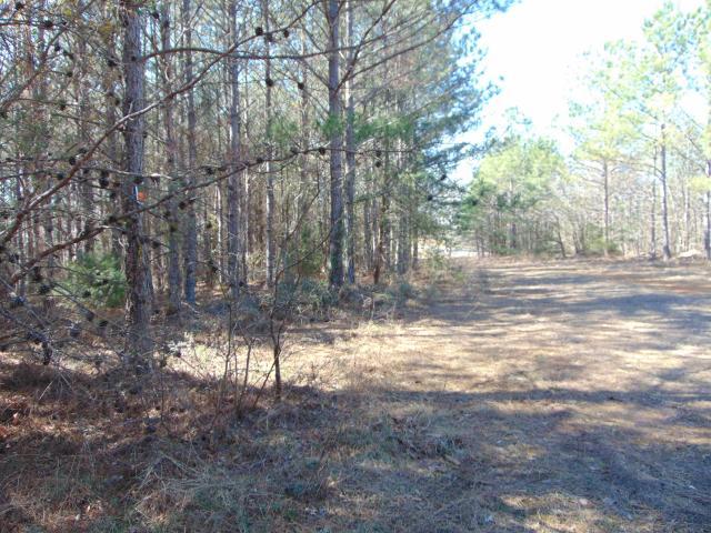 9655 Co Rd 2