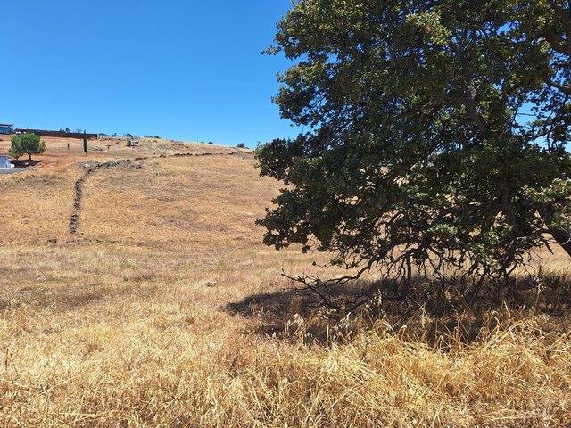 9650 Picadero Way, La Grange, CA 95329