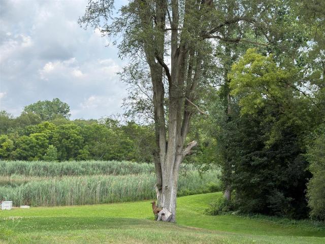 9665 Carpenter Road