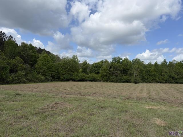 9674 La Hwy, Ethel, LA 70730 | MLS #BR2026001
