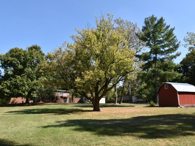 9677 W Reeves Road