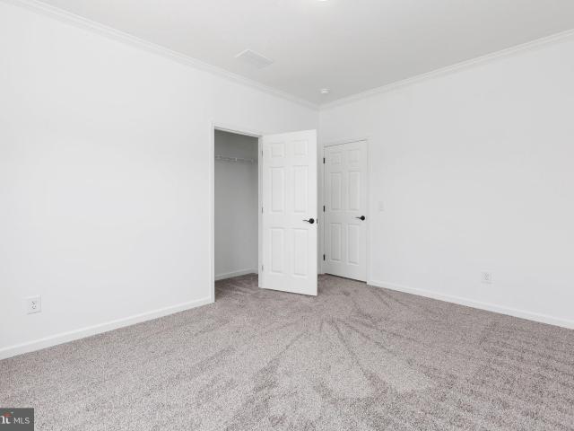 967 Levi Rd, Green Bay, VA 23942 | MLS #VAPE2000