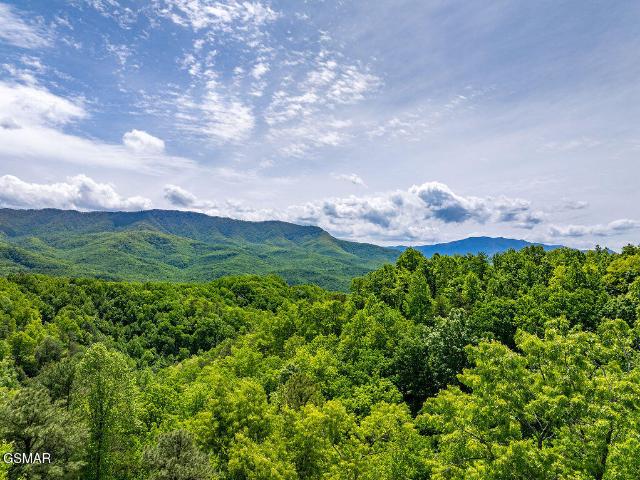 967 Scenic Trail