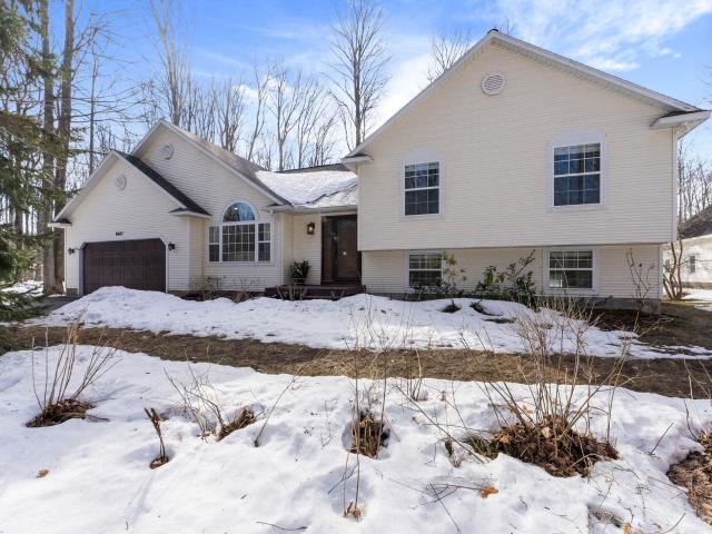 9685 Woodys Run