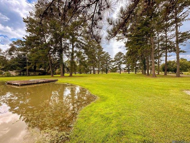 9693 S Tiger Bend Rd, Saint George, LA 70817